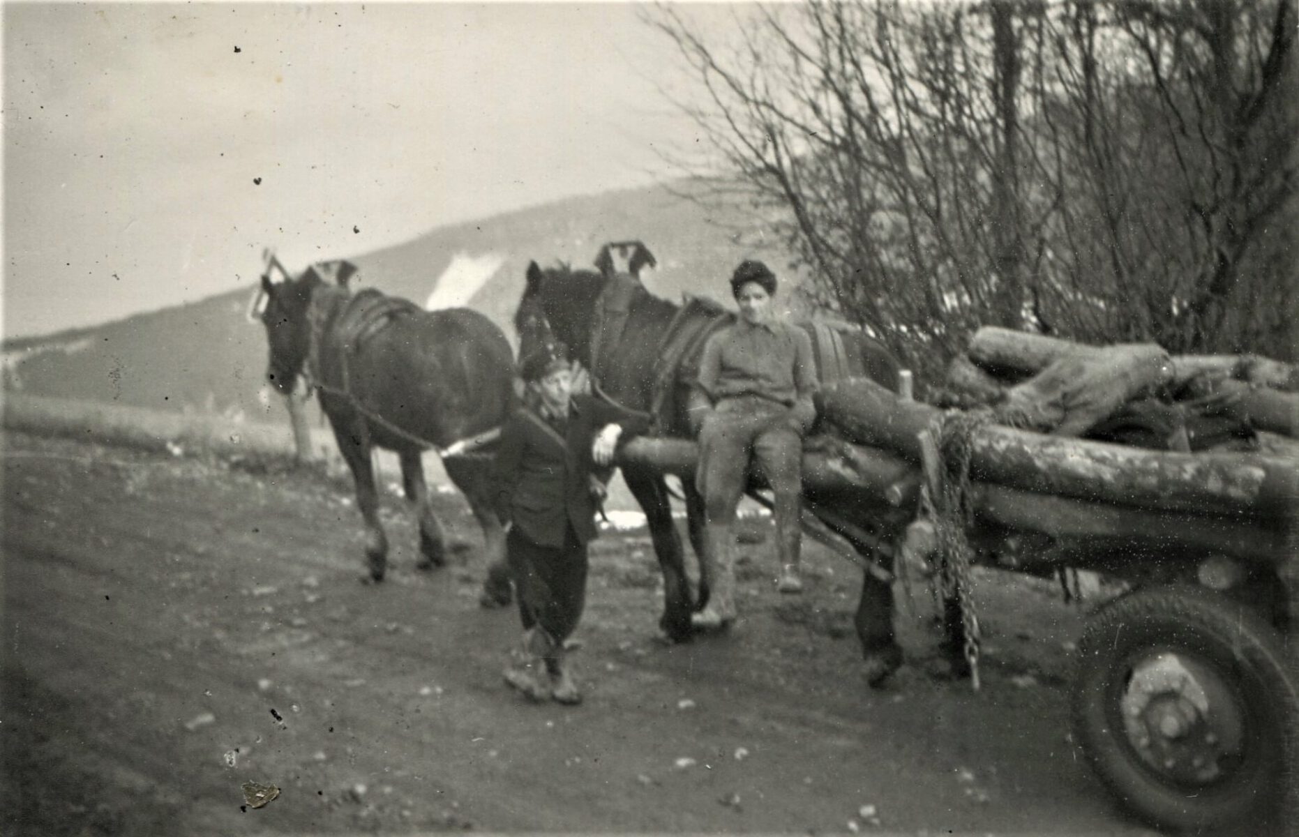 Forstwirtschaft – Heimatgeschichte Eicherscheid